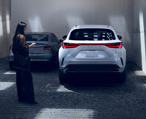 Lexus Financial | Lexus Financial